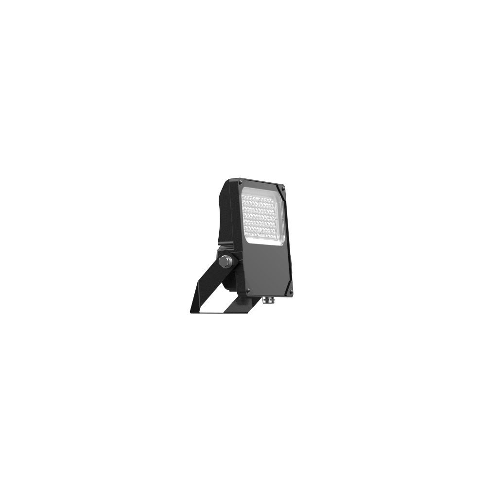 COLUMBUS 50 IP65 Asymmetric or Symmetric LED Floodlight – Best Buy Lighting