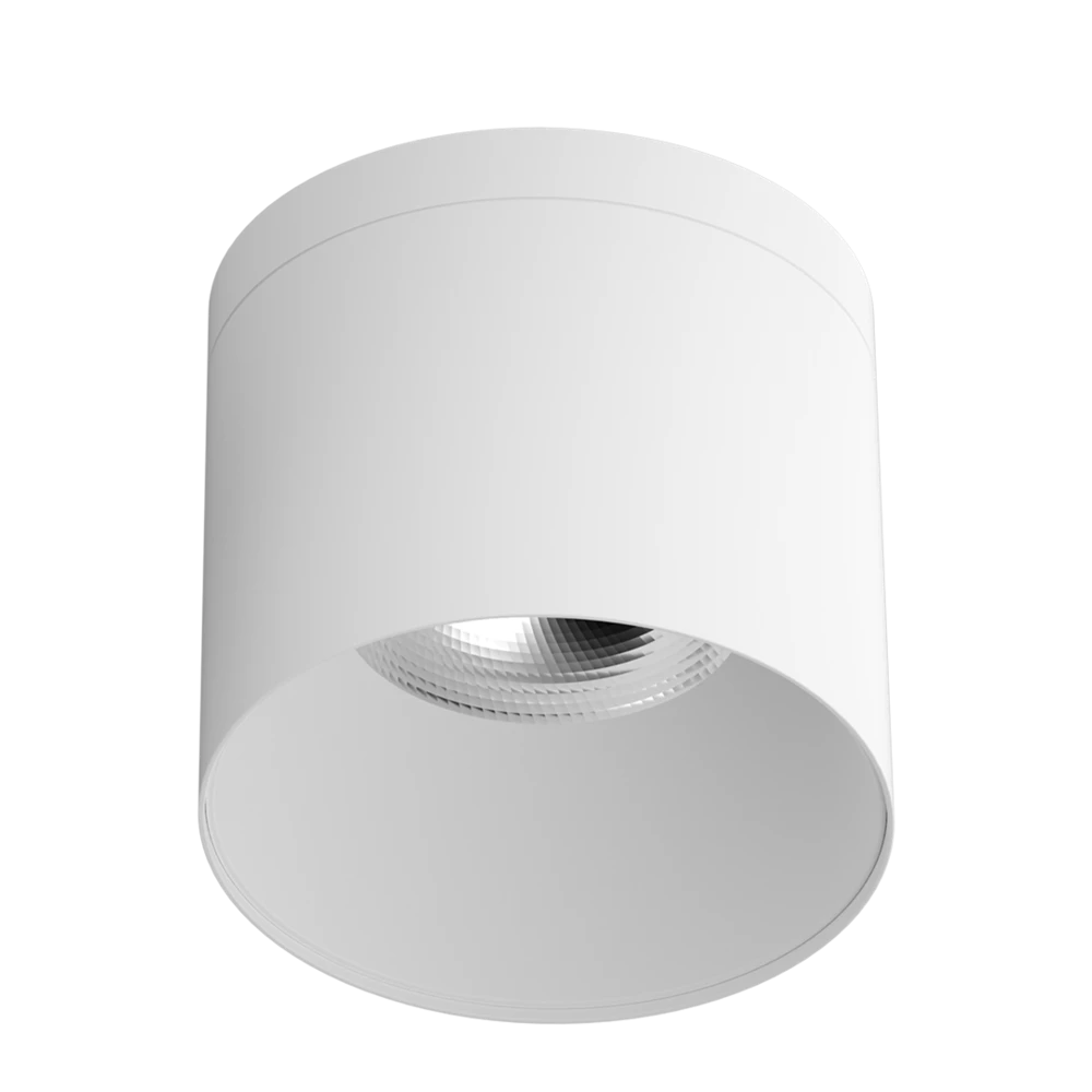 SAL Airlee S9605TC IP65 Surface Mount Downlight – Best Buy Lighting