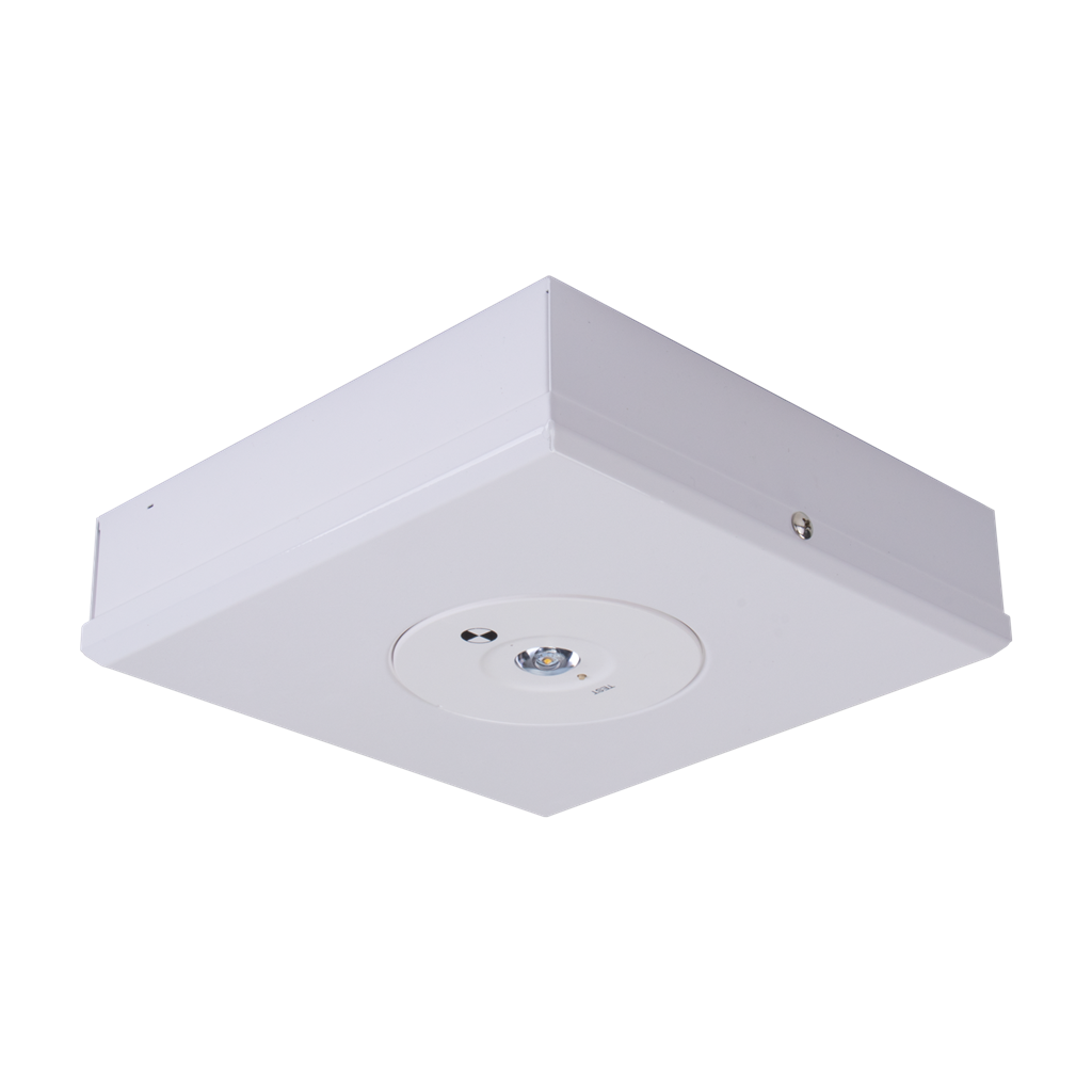 Domus 3.5W S/M Led Emergency Light Non-Main D63 Class – Best Buy Lighting