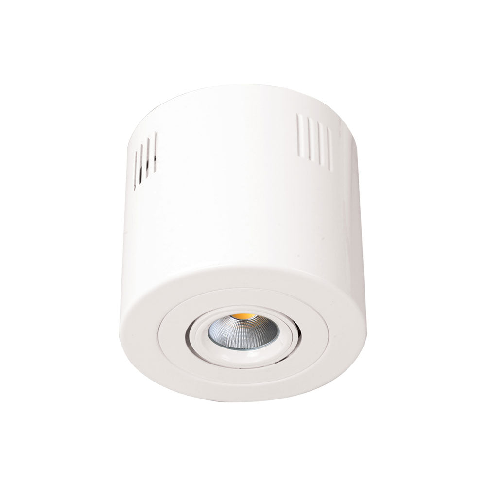 SAL Ecostar S9046SM 9W Surface Mount LED Downlight – Best Buy Lighting