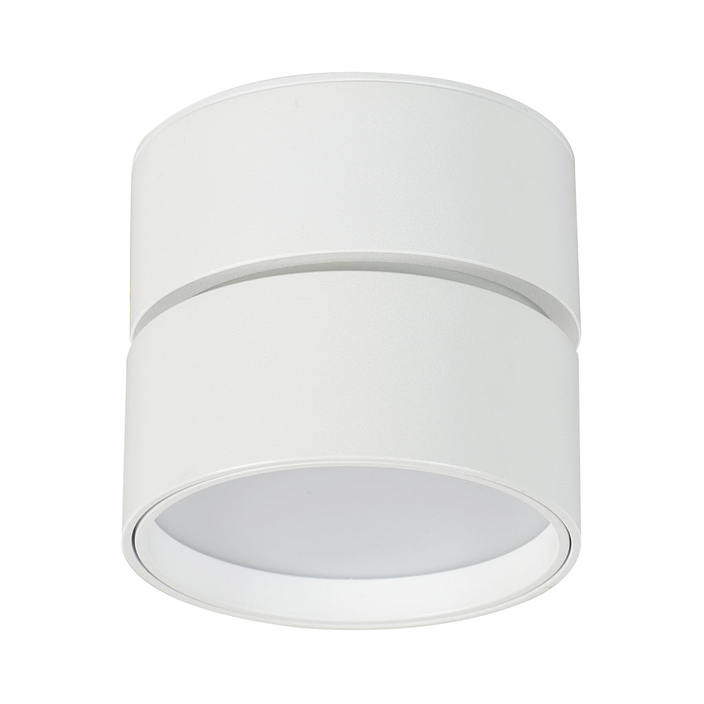 LED Surface Mount Downlight for Sale | Best Buy Lighting